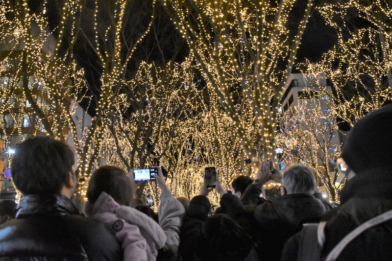 Sendai winter illumination display to feature 1st lighting ceremony in ...