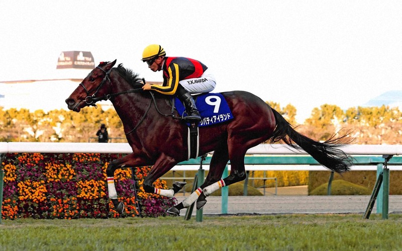 ウマ女十番勝負：（9）阪神JF なでなでパワーだ カルチャーデイ | 毎日新聞