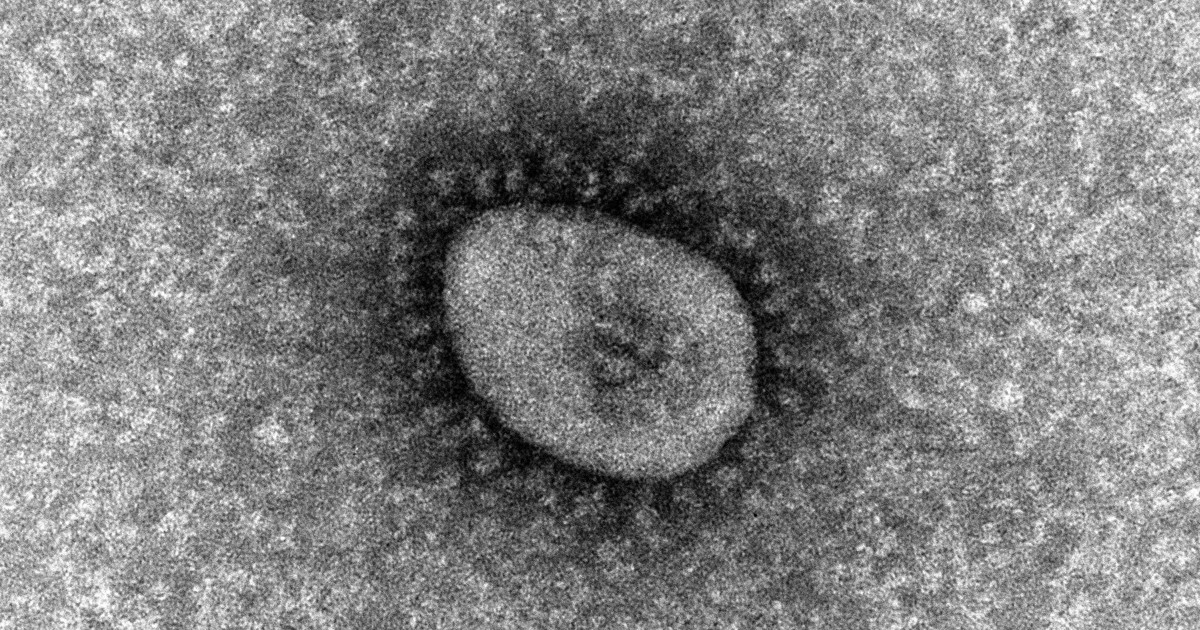 People reinfected with COVID may have lower risk of transmitting it to ...