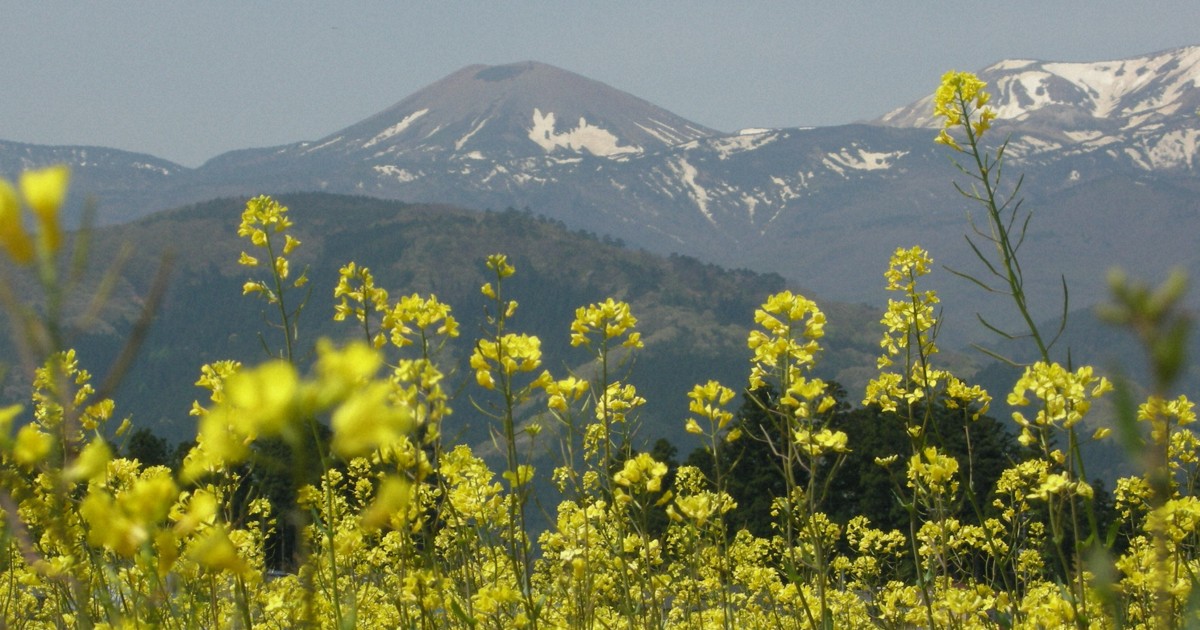 Japan Trivia: Fukushima's giant 'snow rabbit' signals start of rice ...