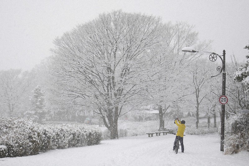 Seoul records heaviest single-day snowfall in December for 40 years ...