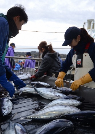 Easy Japanese news in translation: Bonito fishing season starts at ...