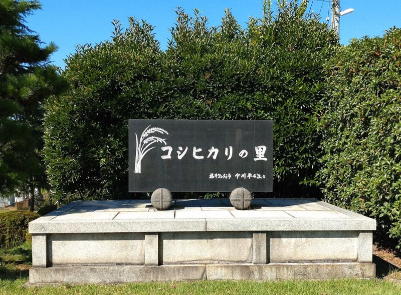 Japan Trivia: Fukui Pref. is little-known source of popular rice ...