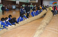Yanbaru forest in northern Okinawa to be designated as national park ...