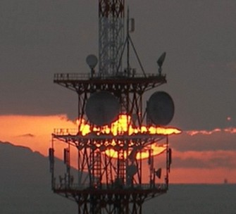 'Sunset panda' seen in perfect form from Japan museum for 1st time in 7 ...