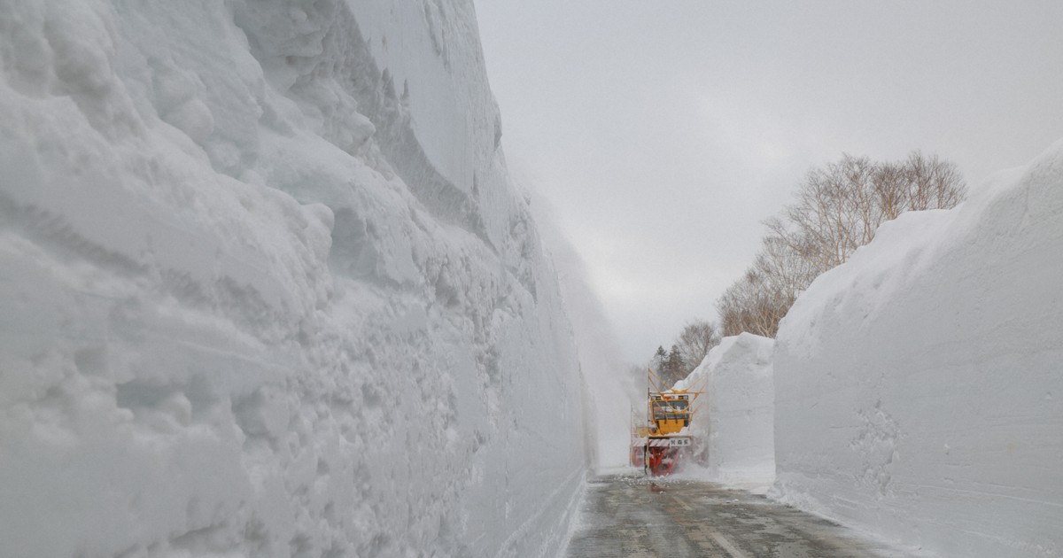 Easy Japanese news in translation: 'Snow corridor' appears in Aomori ...