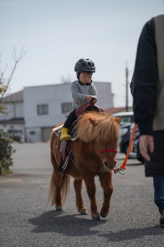 In Photos: Ponies power the fun at Fukushima Pref. train station event ...