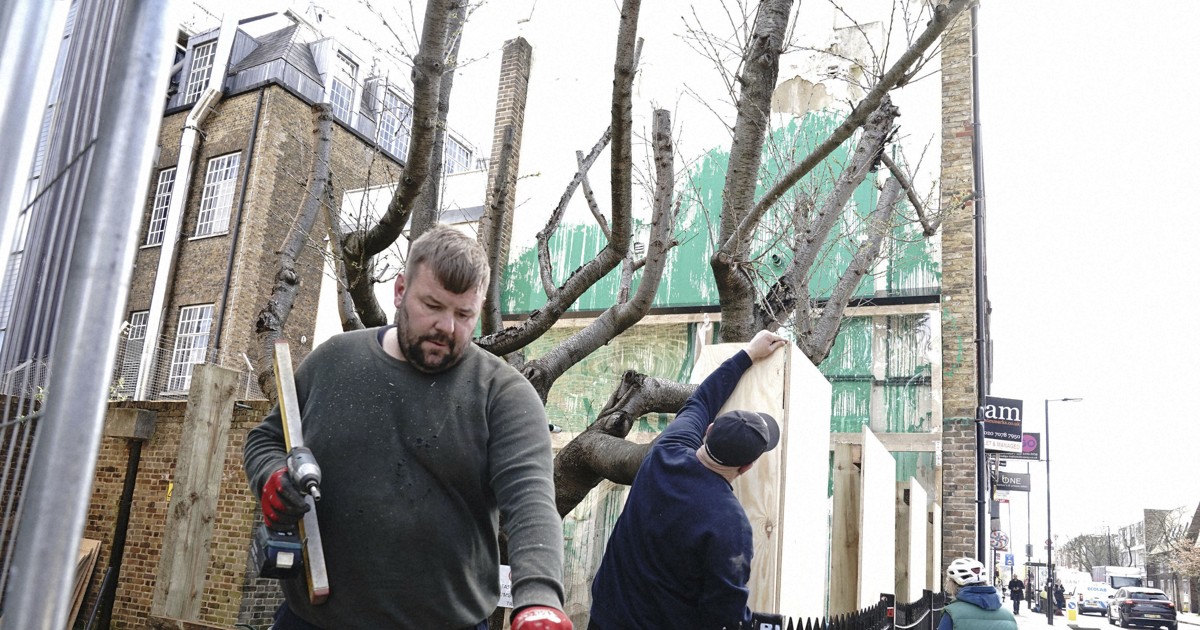 Banksy tree mural that sprouted in London is fenced off after apparent ...