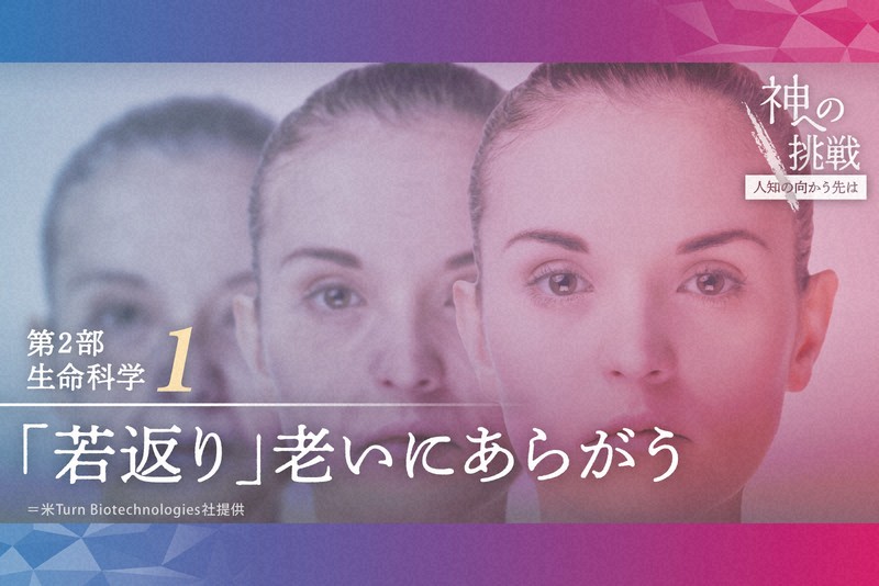神への挑戦：【写真と図解で】肌の細胞が薬で若返る 近づく不老不死 [写真特集1/12] | 毎日新聞