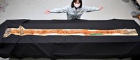 Travel - The Mainichi