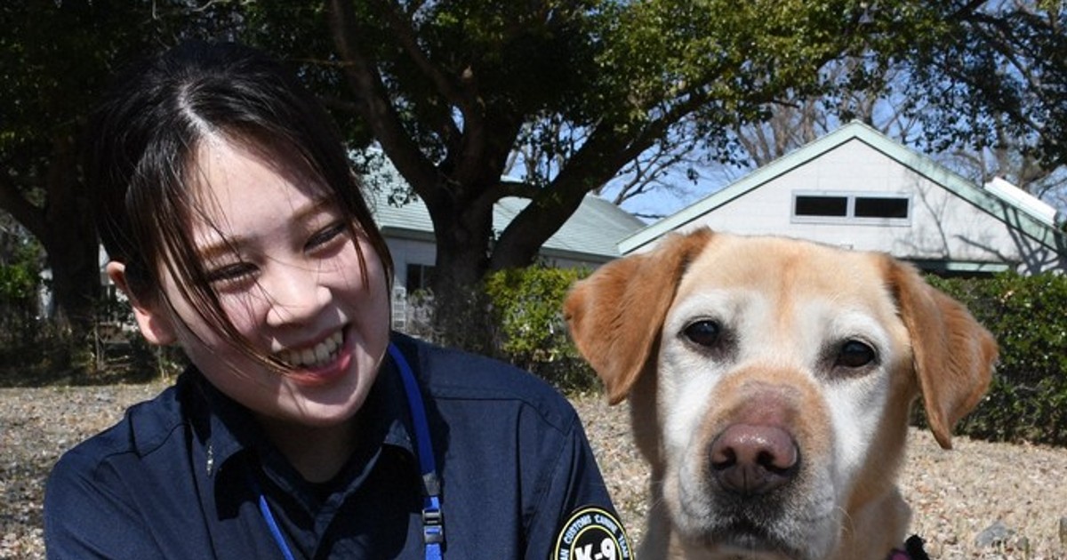 In Photos: Melba, Japan's magnificent drug-sniffing dog to retire - The ...