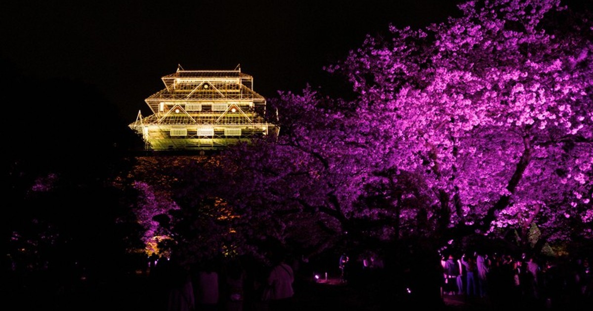 In Photos: 'Phantom castle tower,' cherry blossoms spectacularly lit up ...