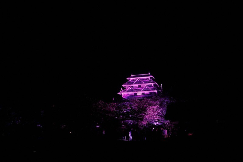 In Photos: 'Phantom castle tower,' cherry blossoms spectacularly lit up ...