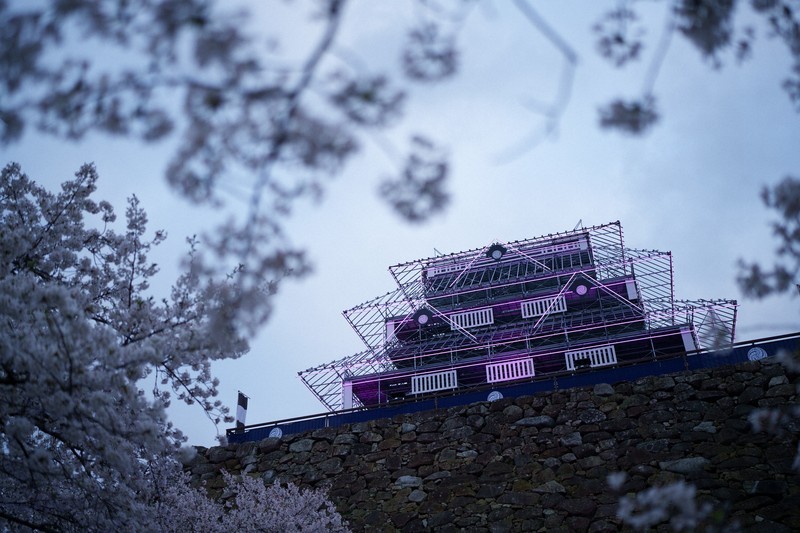 In Photos: 'Phantom castle tower,' cherry blossoms spectacularly lit up ...