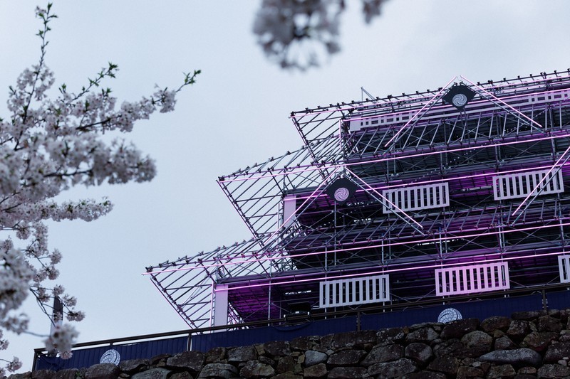 In Photos: 'Phantom castle tower,' cherry blossoms spectacularly lit up ...