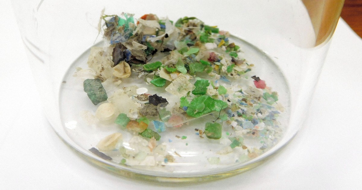 Italian researchers find microplastics in majority of clogged arteries ...