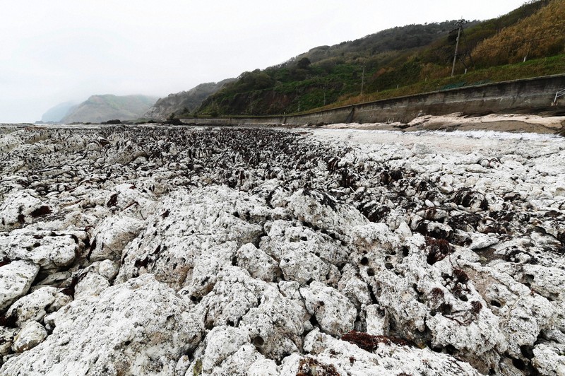 能登半島地震4ケ月 被災地のいま [写真特集4/18] | 毎日新聞