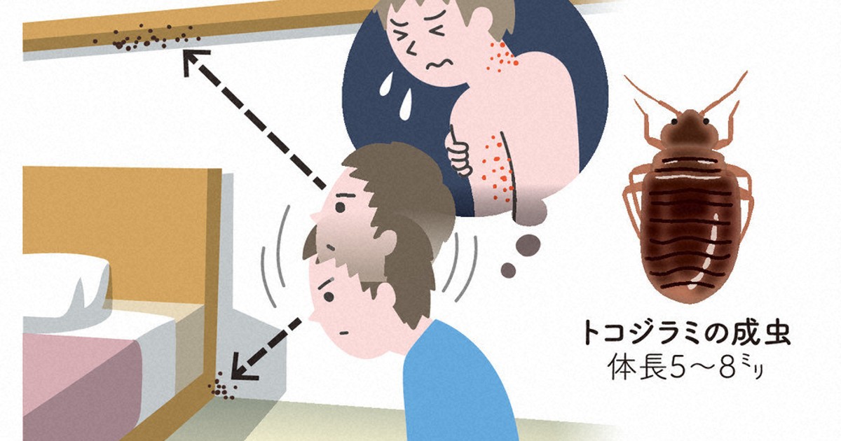 Don't let the bedbugs bite! Tips to find and repel pests as Japan's ...