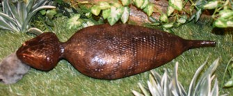 800 join search party for legendary 'tsuchinoko' creature in Japan ...