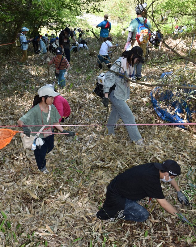 800 join search party for legendary 'tsuchinoko' creature in Japan ...