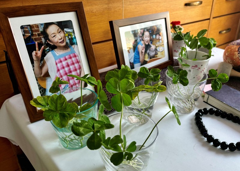 Double good luck? Sapporo man finds 'very rare' 8-leaf clover ...
