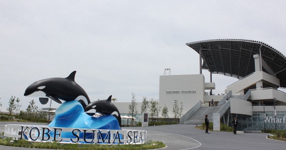 In Photos: Dolphins, orcas leap at Kobe aquarium resort ahead of June 1 ...