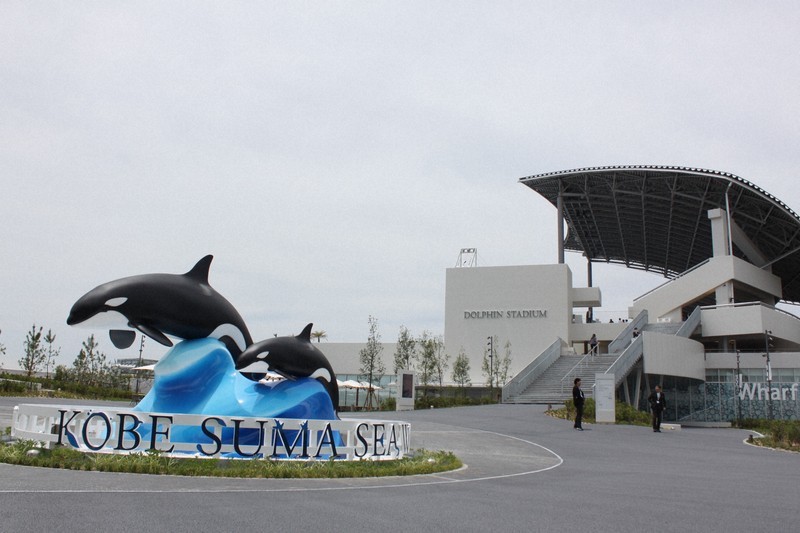 In Photos: Dolphins, orcas leap at Kobe aquarium resort ahead of June 1 ...