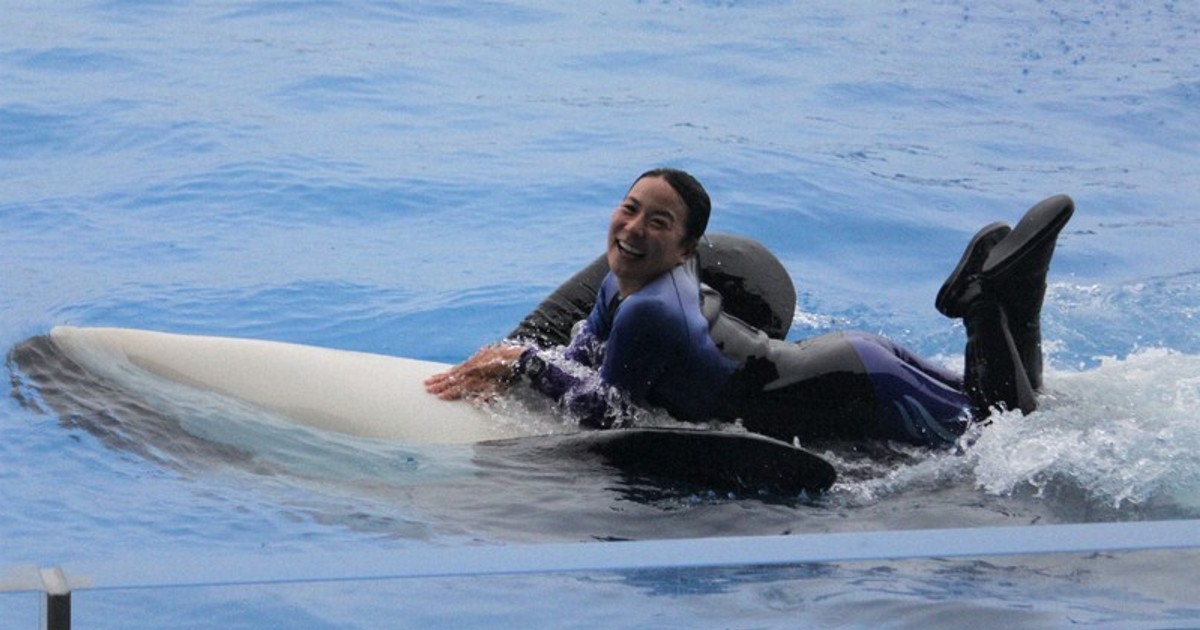 In Photos: Dolphins, orcas leap at Kobe aquarium resort ahead of June 1 ...