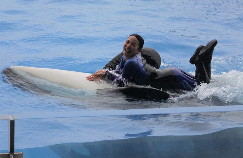 In Photos: Dolphins, orcas leap at Kobe aquarium resort ahead of June 1 ...