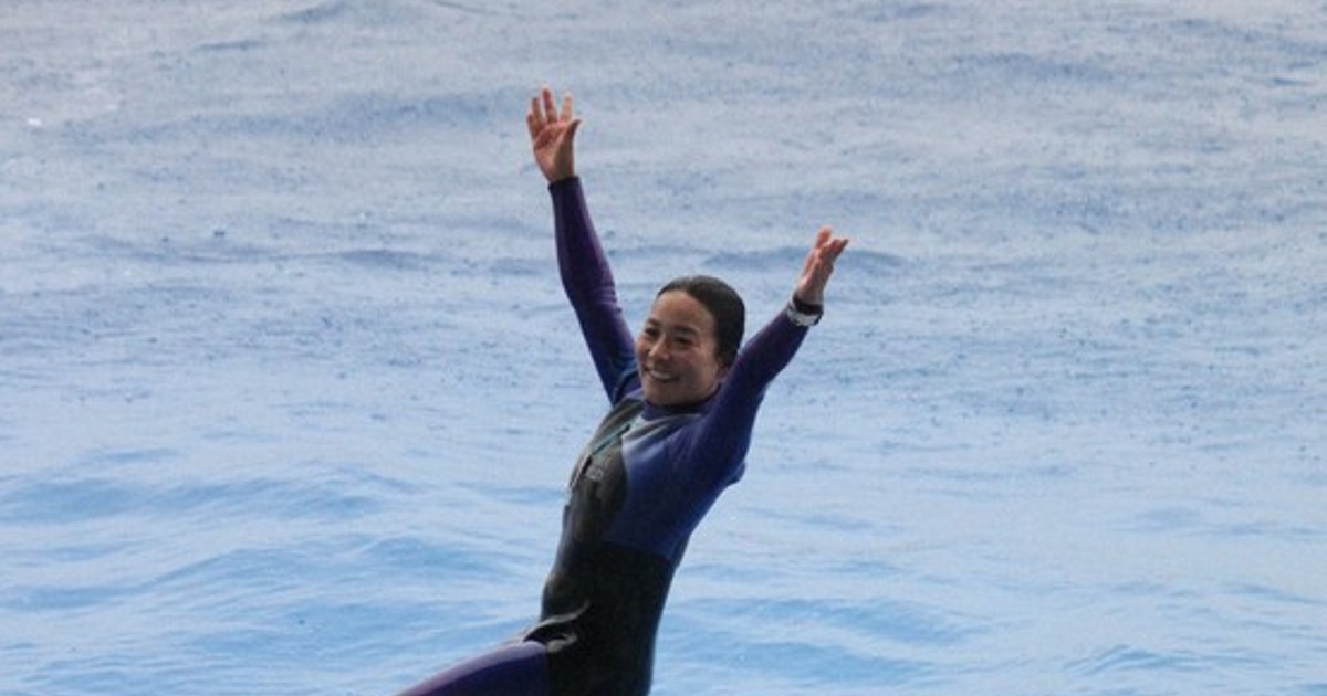 In Photos: Dolphins, orcas leap at Kobe aquarium resort ahead of June 1 ...