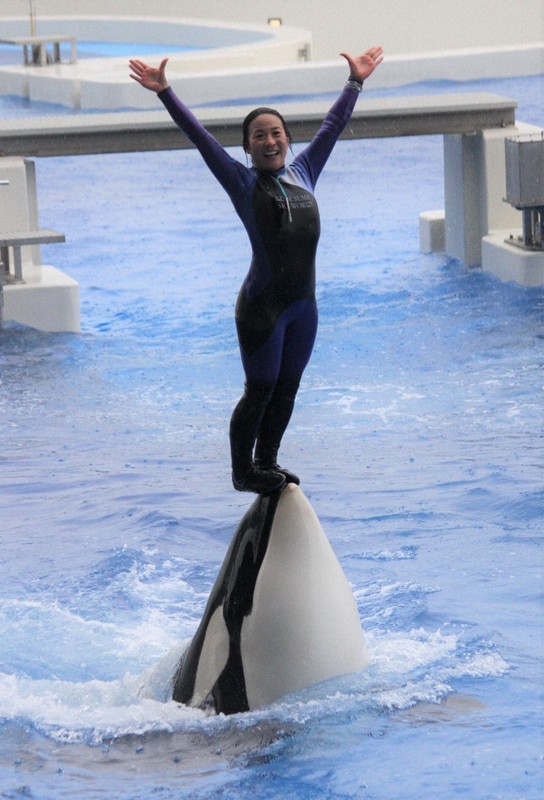 In Photos: Dolphins, orcas leap at Kobe aquarium resort ahead of June 1 ...