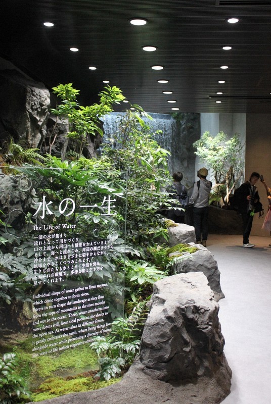 In Photos: Dolphins, orcas leap at Kobe aquarium resort ahead of June 1 ...