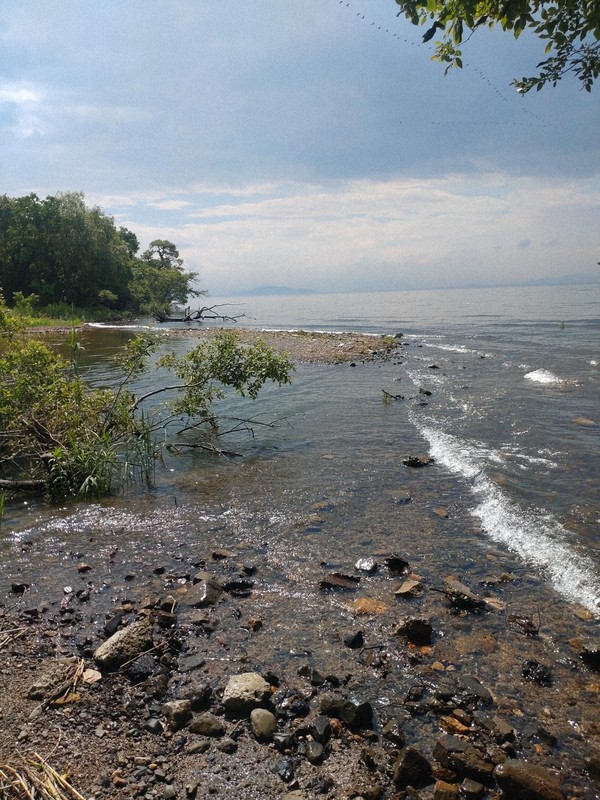 「琵琶湖に道ができている」と通報 湖岸に無許可の通路 県が告発 [写真特集1/7] | 毎日新聞
