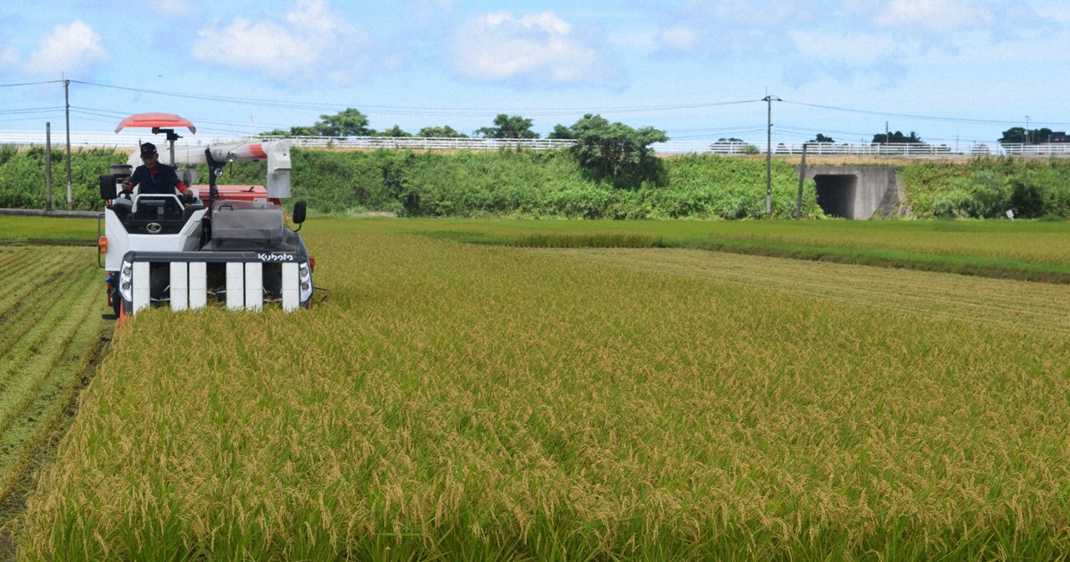 Easy Japanese news in translation: Early rice harvest starts in ...