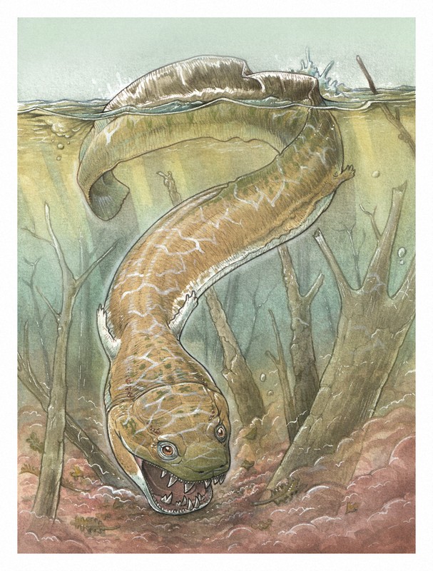 Fossils show huge salamanderlike predator with sharp fangs existed ...