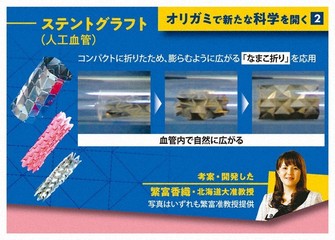 Cell origami: Structures of traditional Japanese art being applied to ...