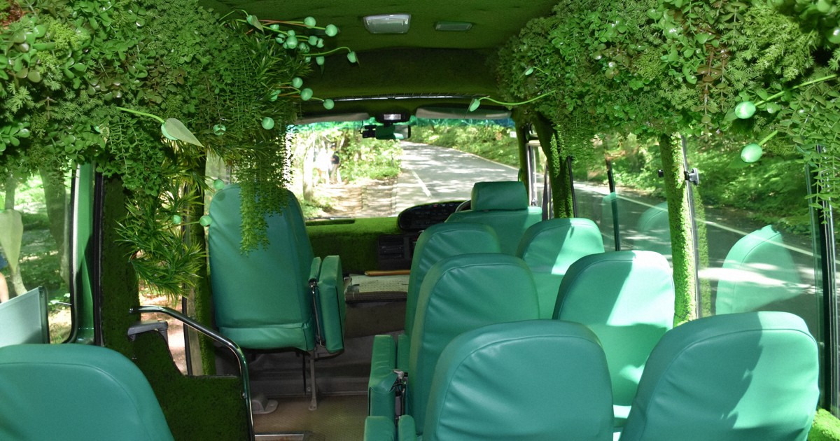 'Moss bus' gives resort guests rich ecological experience at sacred ...