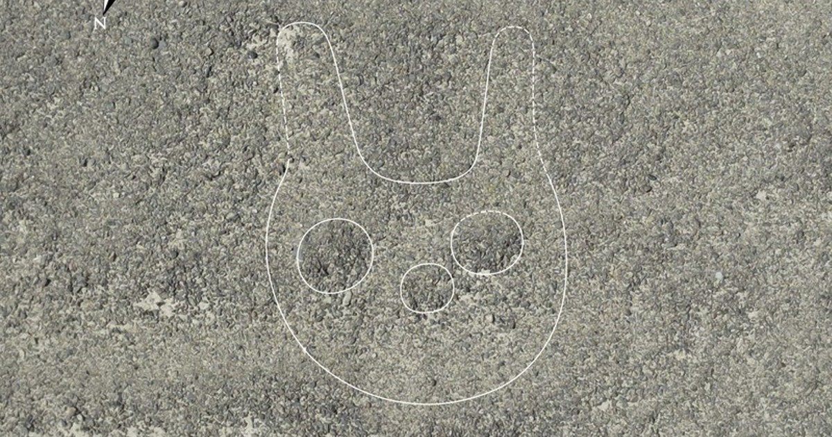 In Photos: Japan research team uses AI to find 303 geoglyphs in Peru's ...