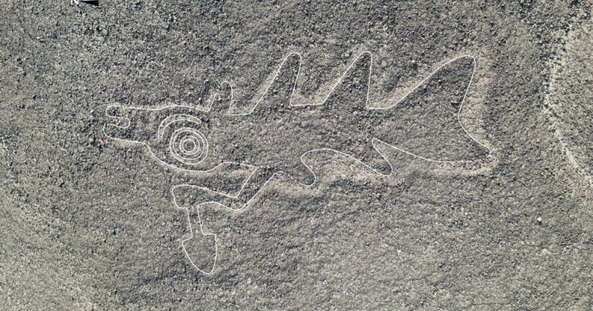 In Photos: Japan research team uses AI to find 303 geoglyphs in Peru's ...