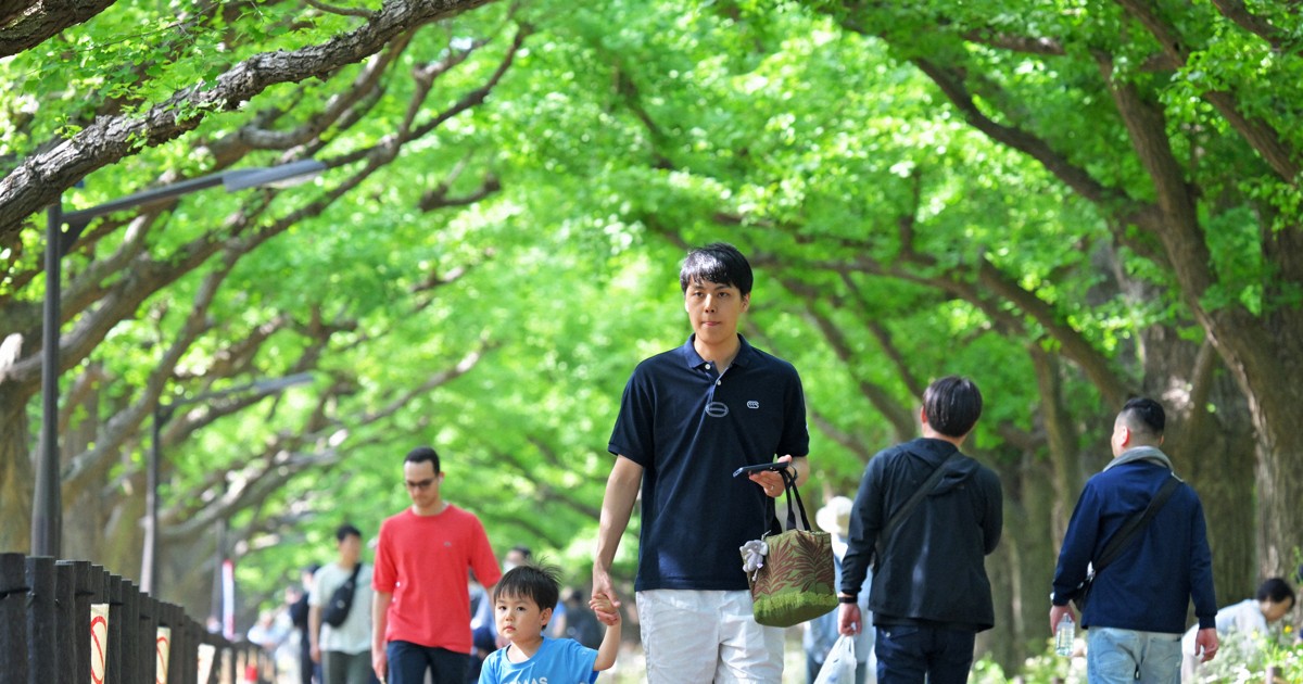 Life in Japan: Why is Tokyo shrinking its green spaces amid a climate ...