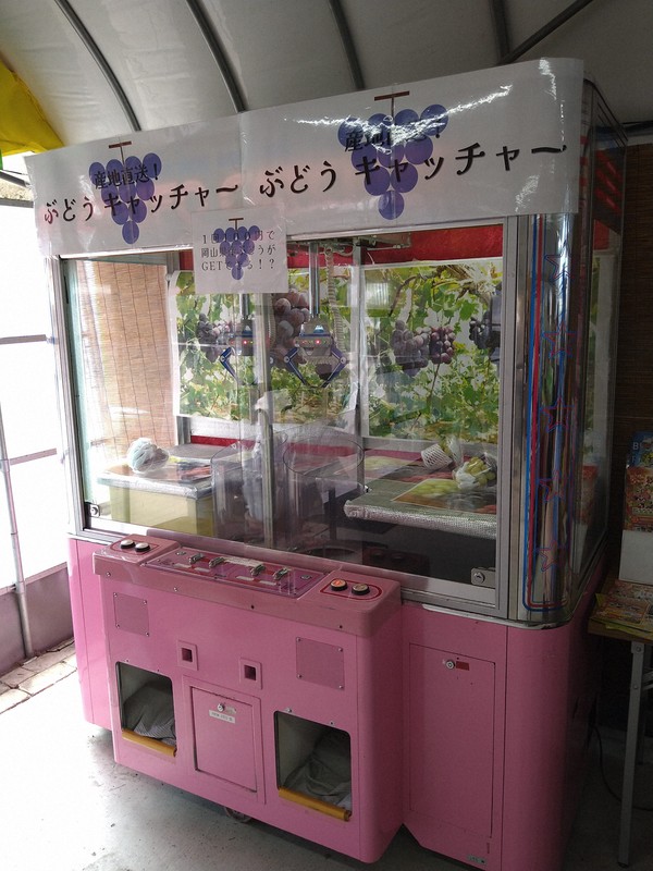 Luxury fruit crane game an unexpected tourist hit at west Japan farm ...