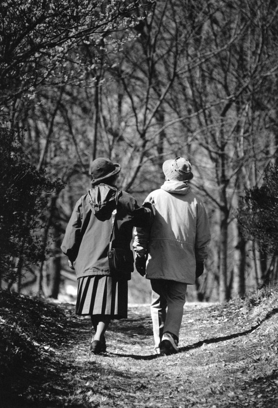 介護保険 負担増の意味 「必要な時に使えない」ならば [写真特集4/4] | 毎日新聞