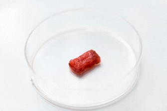 'Meating' demand: Tokyo researchers create beefier 'cultured steak ...