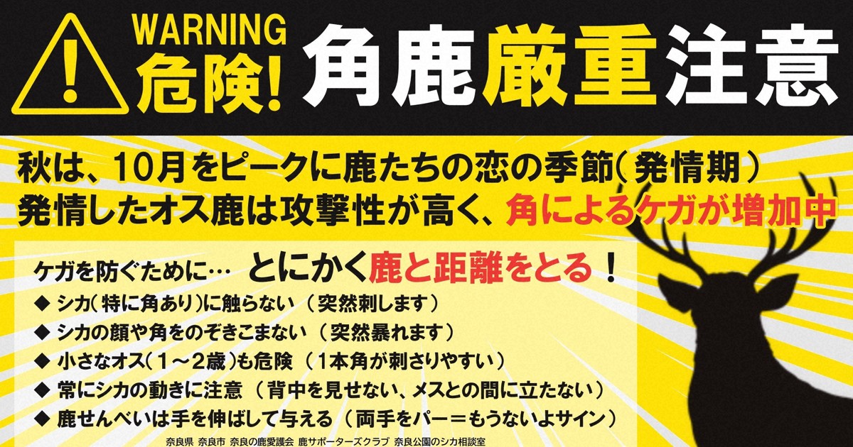 Human injuries by male deer on rise at Nara Park during mating season ...