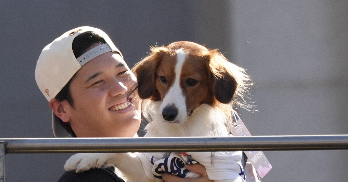 Shohei Ohtani brings his dog and addresses crowd in English as Dodgers ...