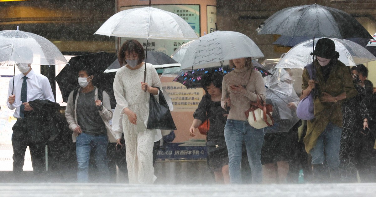 Where does the smell of rain come from? Japan weather expert explains ...