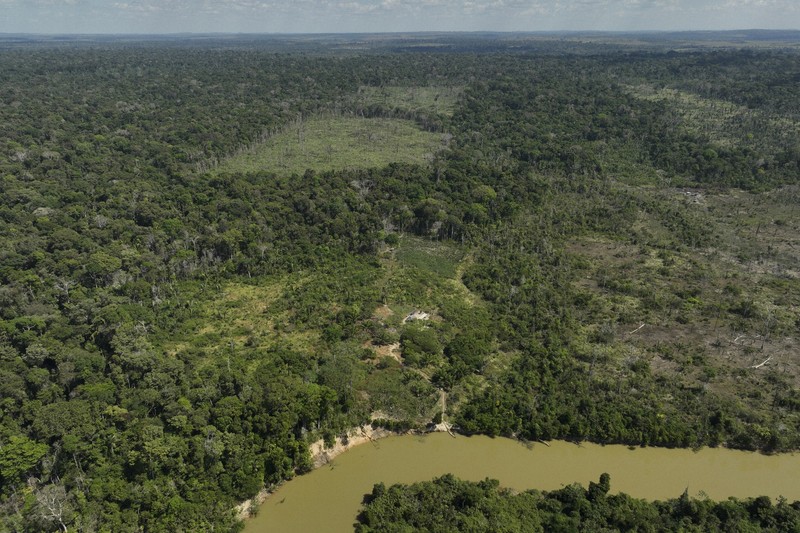 Deforestation in Brazil's Amazon drops by nearly 31% compared to ...
