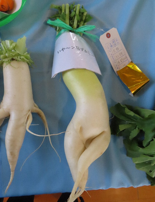 Radish with 'legs,' giant napa cabbage: Rare produce contest held in ...
