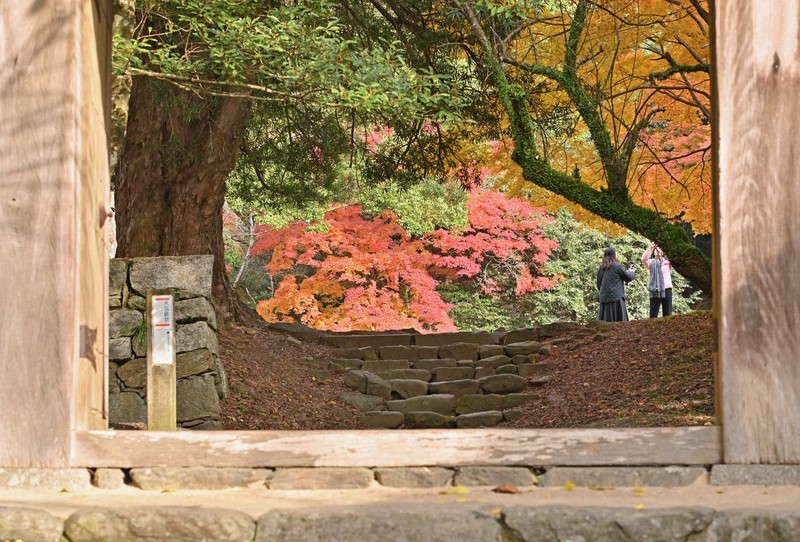 In Photos: Autumn leaves around Akizuki Castle Ruins in Fukuoka Pref ...