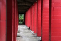 Culture - The Mainichi